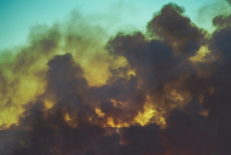Exclusive: Understanding the Impact of Climate Change on Mental Health ...
