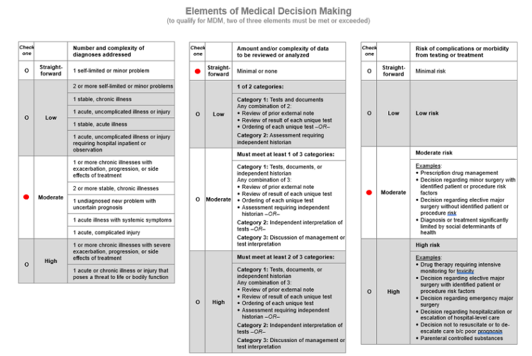 A Tool to Help Set Evaluation and Management (E&M) Levels of Service ...